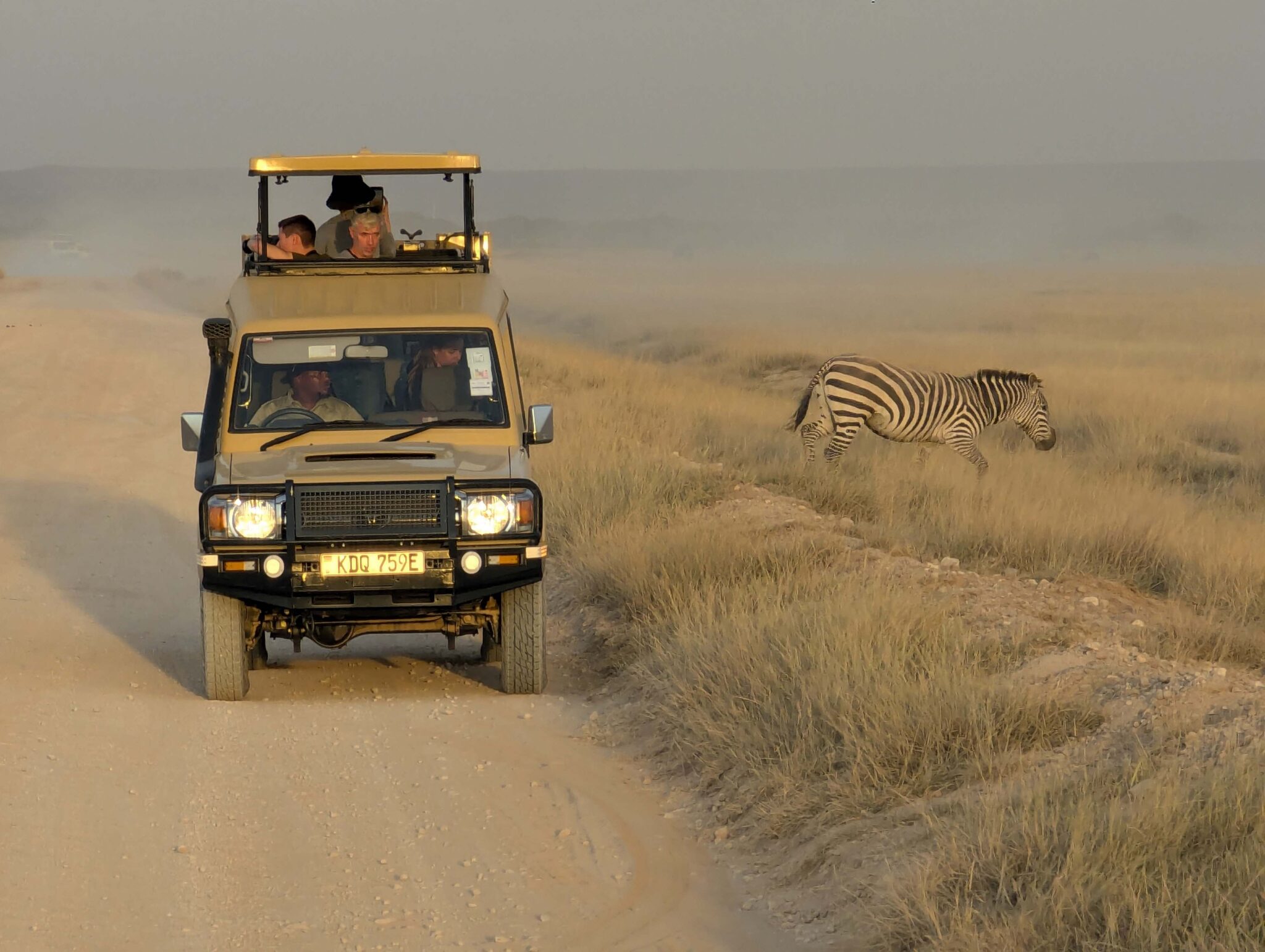 Serengeti Safari Tour - Tanzania Serengeti Safari Tours